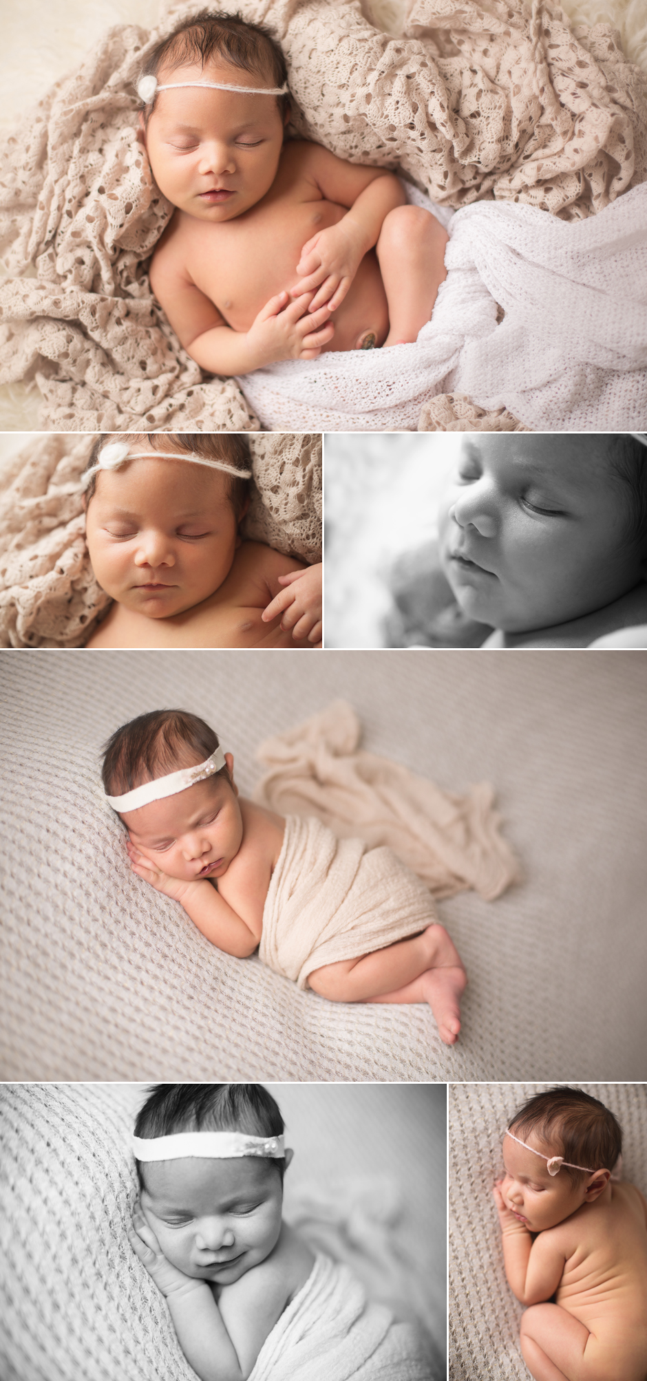 blog | Newborn, Baby, Maternity Photography | Raleigh